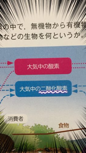 ありえないミスをしてしまった誤植まとめ39連発 Netgeek